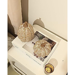 DN DECONATION Thanksgiving Resin Pumpkin Statue, Brown and White Pumpkin Figurine, Faux Decorative Pumpkins for Table Centerpiece, Countryside Autumn Fall, Set of 2, Gift