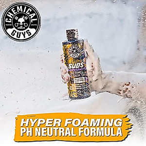 Chemical Guys CWS21216 HydroSuds Ceramic SiO2 Shine High Foaming Car Wash Soap (Works with Foam Cannons, Foam Guns or Bucket Washes) For Cars, Trucks, Motorcycles, RVs & More, 16 fl oz, Berry Scent
