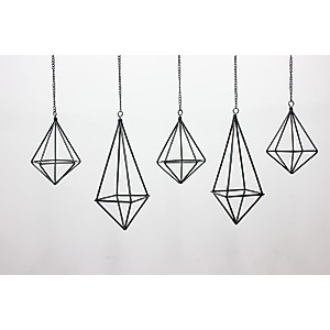 SZRUIZFZ Tillandsia Air Plant Holder Black Geometric Hanging Air Plant Holders Unique for Wall Decor Xerographica Air Plant Hanger for Indoor Decor Himmeli Geometric Decor (5Pcs)