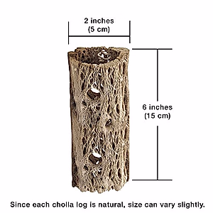 Meric Cholla Cave for Crested Gecko, Raw Wooden Log, 1 Piece per Pack