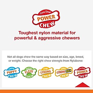 Nylabone Power Chew Ring Power Chew Dog Toy, Dog Toys for Aggressive Chewers, Large - Up to 50 lbs. (1 Count)