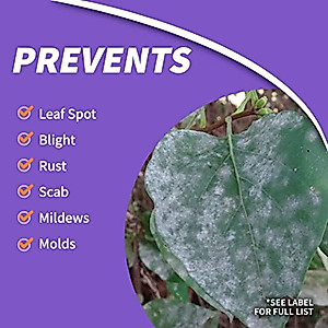 Bonide Fung-onil Multi-Purpose Fungicide, 32 oz Ready-to-Use Spray for Plant Disease Control, Controls Blight, Mildew & More