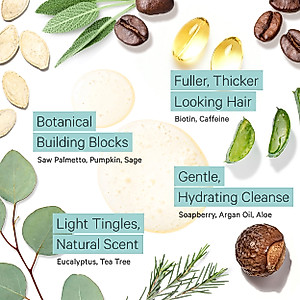 Tree To Tub Volumizing Biotin Shampoo & Conditioner Bundle - For Thicker, Stronger, Shinier Hair - Formulated with Collagen, Caffeine, Argan Oil & Pure Essential Oils - 2 x 8.5 oz. Bottles