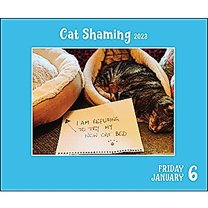 Cat Shaming 2023 Day-to-Day Calendar