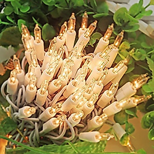 ON'H Christmas Lights 100 Count Clear Mini String Lights Set for Room Garden Holiday Party with Warm White, White Wire