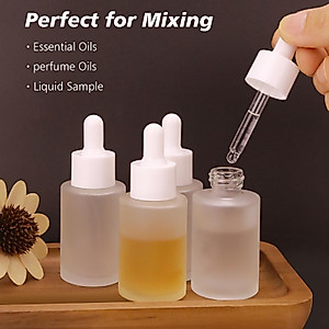 Matifaner 1 oz Glass Dropper Bottle,30ml Essential Oil bottles Frosted, 30ml Clear Frosted Essential Oil Bottle with Glass Eye Dropper for Essential Oil,Tincture (20 pcs) (Frosted)