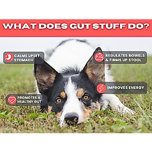 Gut Stuff by Helluva Dog — Digestive Aid Meal Topper for Active Sporting Dogs — Pumpkin & Slippery Elm for Dog's Upset Stomach & Better Gut Health, Packed with Fiber - 3oz