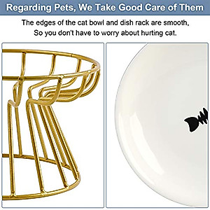Cat Bowl-Raised Cat Food Bowl,Elevated Cat Feeder Bowl Stand, Food & Water Anti Vomiting Shallow Ceramic Cat Dish, with Non-Slip Mat Pet Bowl for All Cat1