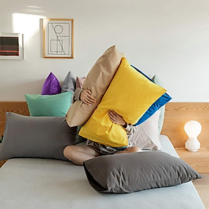 FLXXIE Microfiber Pillow Cases Standard Size, Soft Pillowcases with Envelope Closure, Wrinkle, Stain Resistant Pillow Covers, 20x26, Blue