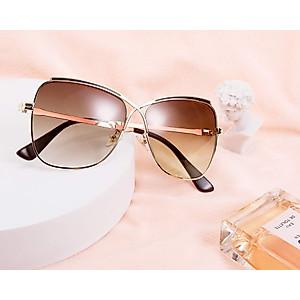 FEISEDY Womens Aviator Sunglasses Oversized Butterfly X Shape Design Cateye Cute Lady Sunglasses B2738