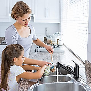 LEPO Pull Out Kitchen Sink Faucets, Single Handle Low Arch Kitchen Faucet with Pull Down Sprayer, Bar Utility Sink Faucets