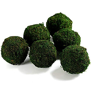 Farmoo Moss Balls Preserved All Natural, 3.5"-Set of 6 (Natural Green)