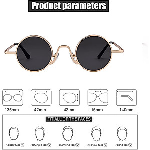 SORVINO Retro Small Round Sunglasses for Men Women Vintage Style Metal Frame