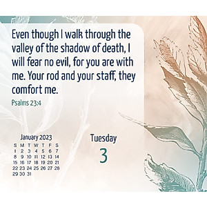 2023 Bible Verses Day-at-a-Time Box Calendar