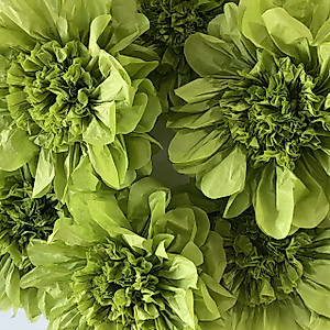 Colors of Rainbow Gift Wrapping Tissue Paper (96 Sheets, 20 Inch x 14.5 Inch) for Gift Bags Gift Boxes and Gift Baskets Packaging Baby Shower Bridal Shower Craft Project (Ivory)