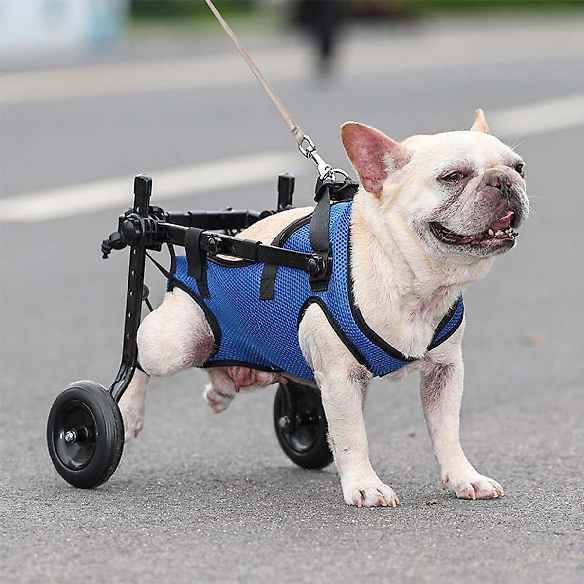 Small Dog Wheelchair for Back Legs, Adjustable Dog Wheelchairs - Mobility Aids for Disabled Pets, Dog Leg Brace and Hip Support, Suitable for Pets Weighing 8-20 Pounds