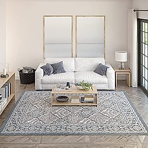 Universal Rugs Oxnard Area Rug, 4' x 5', Gray