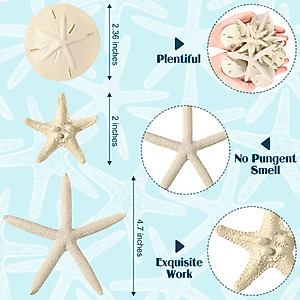 Queekay 15 Pieces Resin Starfish Sand Dollars 2.0 Inch Starfish 4.7 Inch Starfish 2.3 Inch Sand Dollars Crafts Ocean Themed Glittered Coastal Decorations for Christmas Wedding Party Decor Supplies
