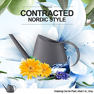 WhaleLife Indoor Watering Can for House Bonsai Plants (1.4L, Gray)