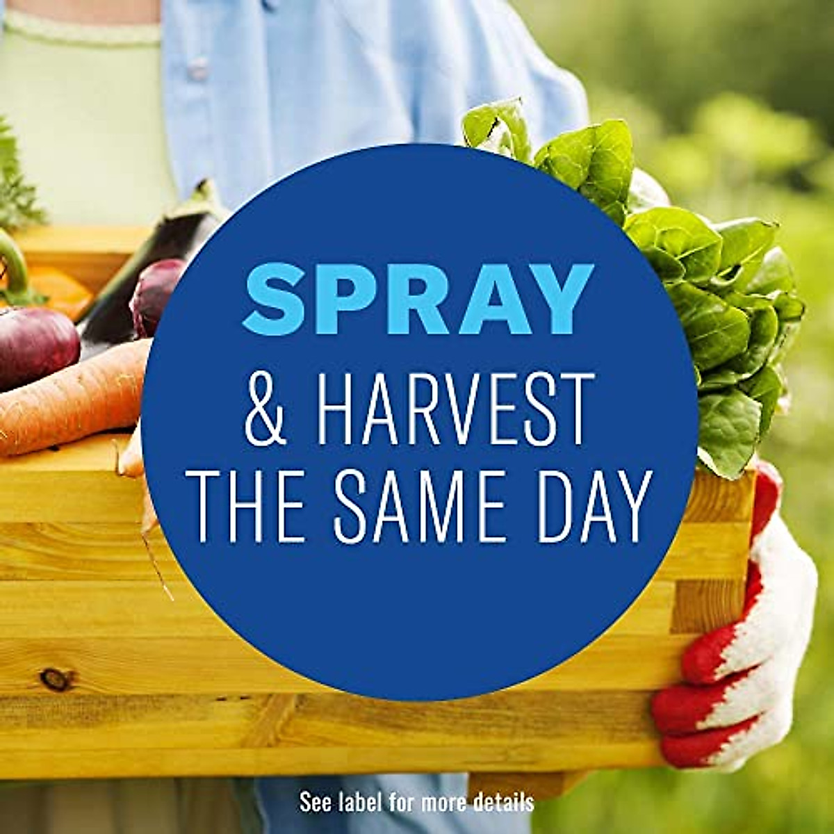 BioAdvanced Organics Brand Insecticidal Soap, Ready-to-Use, 24 oz