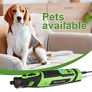 PHALANX 8V Cordless Rotary Tool Kit, 2.0 Ah Battery Rechargeable Rotary Tool with 73pcs Accessories, 5-Speed LED Light, Idea for Sanding, Carving, Polishing, Engraving, Wood Carving, Pet Grooming