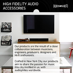 Hudson Hi-Fi Vinyl Display Holder - 2 Pack Record Display Shelf - Solid Steel Vinyl Wall Mount & Record Display, Quick Access Vinyl Record Wall Mount - Vinyl Record Shelf, Fits 25 LPs, Black Satin