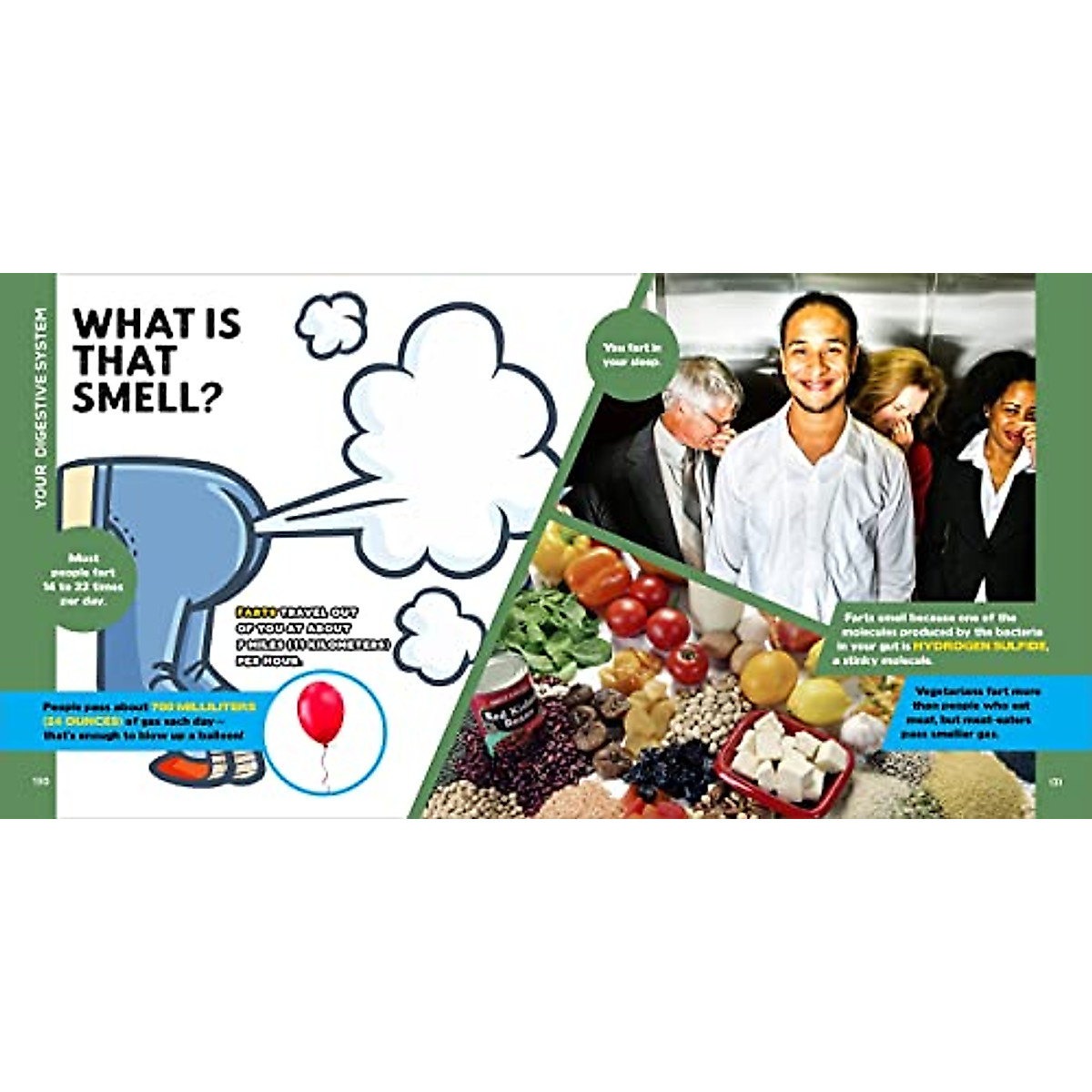 The Fascinating Human Body Book for Kids: 500 Phenomenal Facts! (Fascinating Facts)