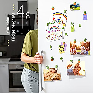 Fridge Magnet, 48 Pcs Refrigerator Magnets for Whiteboard, Cute Magnets Fridge, 6 Different Shaped Cactus Locker Magnets, Strong Fridge Magnets Fun Decorative Magnets for Fridge Kitchen Office