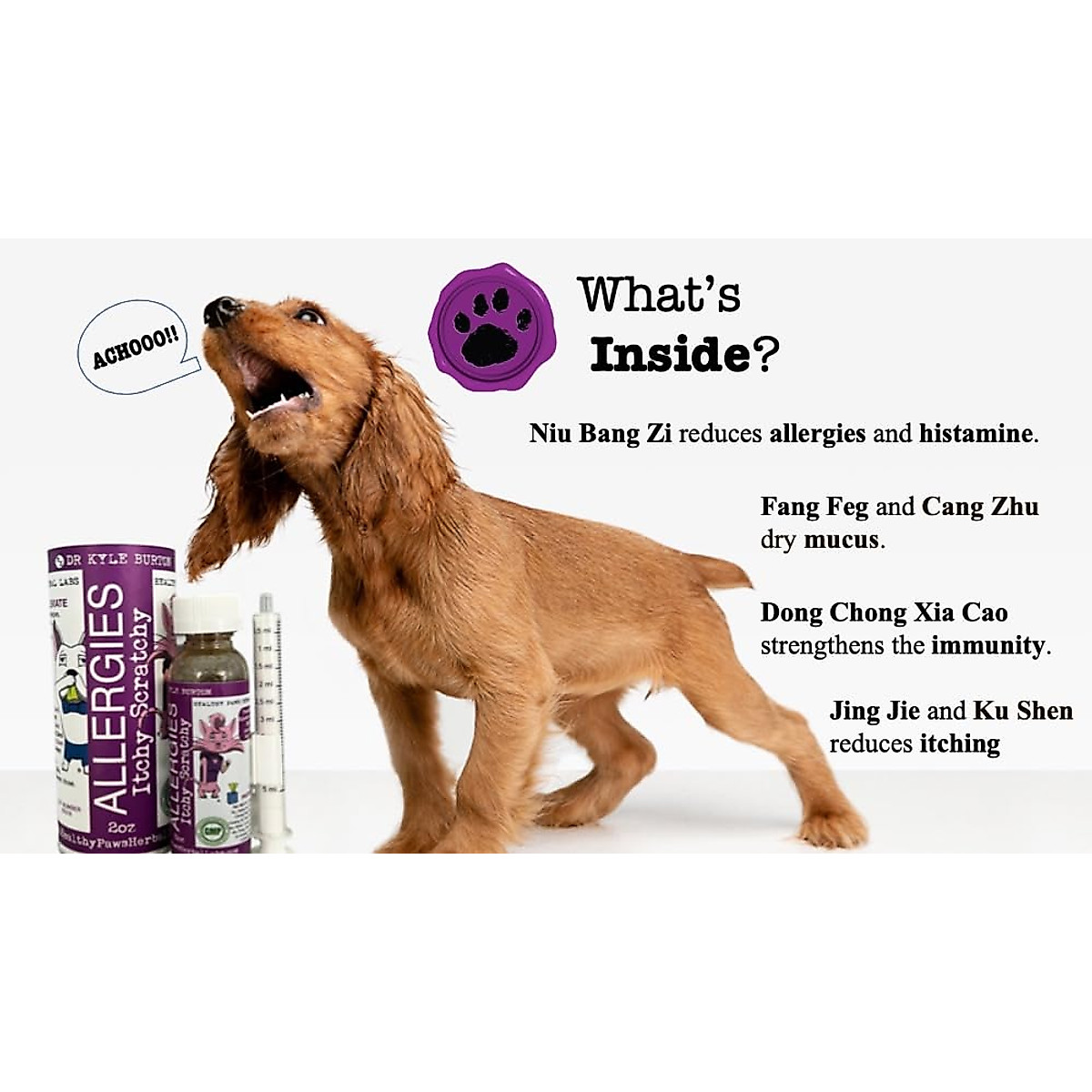 HEALTHY PAWS HERBAL LABS Itchy Scratchy Allergy Relief for Dogs & Cats - 2oz Liquid Food Topper