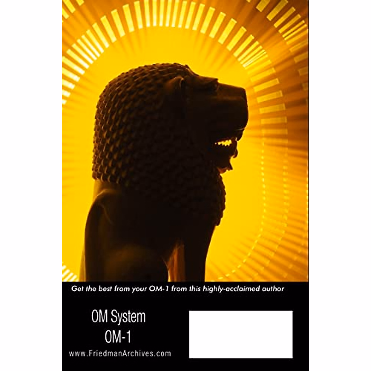The Complete Guide to the OM System OM-1 (B&W Edition)