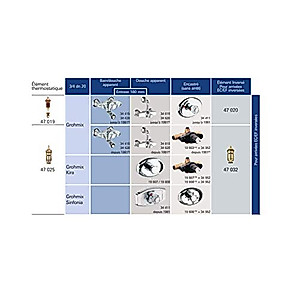 Grohe 47025000 Paraffin Cartridge Thermo-Element, 3/4″, No Finish, Starlight Chrome