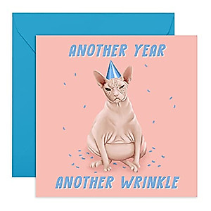 Central 23 - Funny Animal Birthday Card - “Sphynx Cat Another Year Another Wrinkle” - For Men & Women - Mom Dad Husband Wife Brother Sister 21st 25th 30th 40th 50th 60th - Comes with Fun Stickers