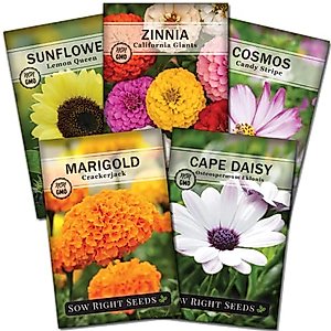 Sow Right Seeds - Flower Seed Garden Collection for Planting - 5 Packets Includes Marigold, Zinnia, Sunflower, Cape Daisy, and Cosmos - Wonderful Gardening Gift