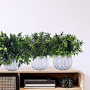 Winlyn 3 Pcs Faux Potted Plants Set - Artificial Eucalyptus, Rosemary, Boxwood Greenery in Small White Geometric Planters for Indoor Outdoor Desk Table Centerpiece Shelf Windowsill Home Office Decor