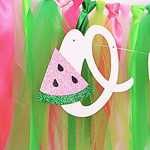 One Person in the Watermelon Banner- 1st Birthday High Chair Banner, Smashed Cake, Photo Background Props, Piece Skirt (Watermelon Banner)