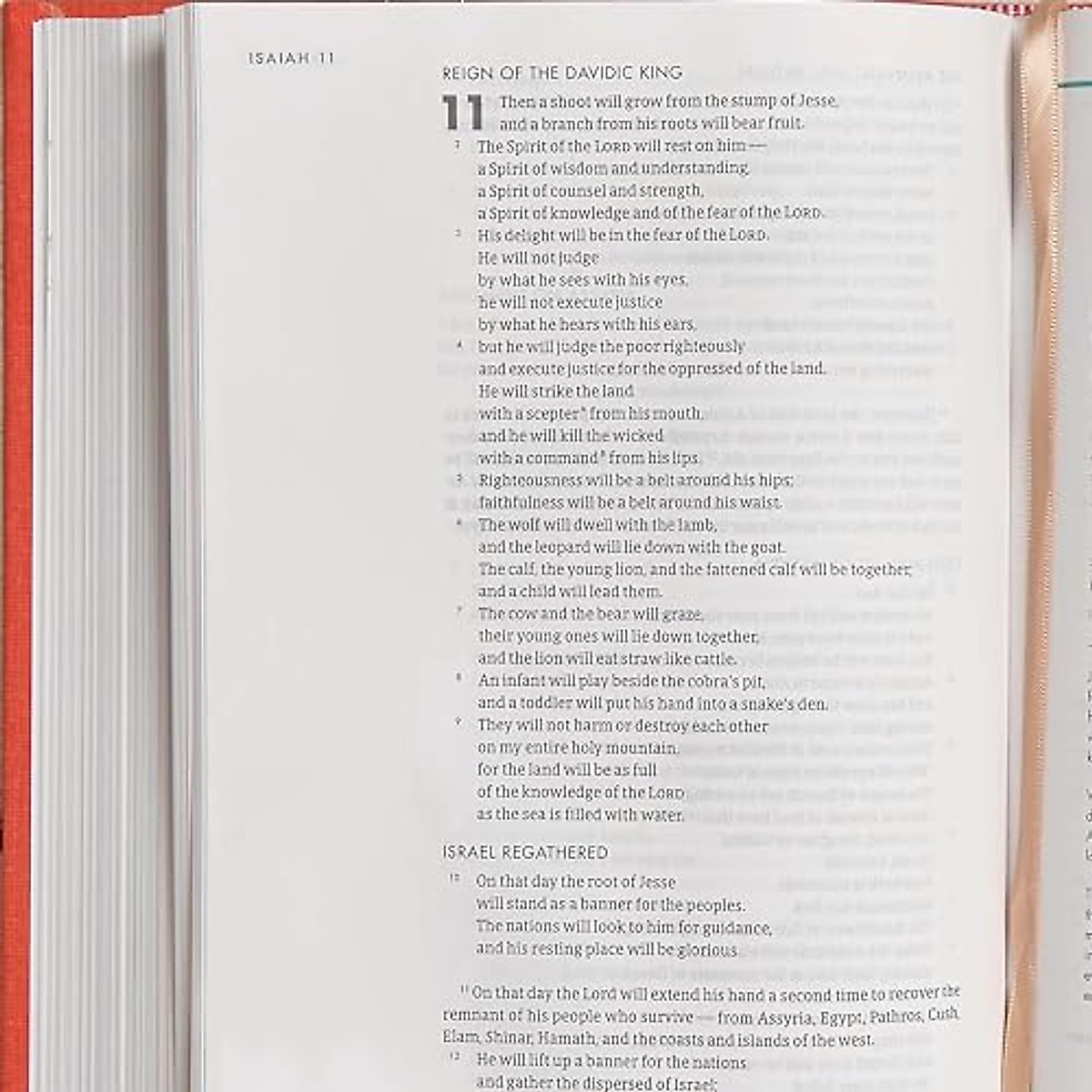 CSB She Reads Truth Bible, Poppy Linen, Black Letter, Full-Color Design, Notetaking Space, Devotionals, Reading Plans, Two Ribbon Markers, Sewn Binding, Easy-to-Read Type