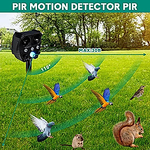 Solar Powered Ultrasonic Animal Repellent Waterproof Cat Repellent with Motion Detector Squirrel Repellent Bird Deterrent Devices Outdoor Solar Deer Repellent Devices for Outdoor (Black, 2 Pcs)
