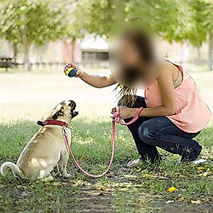 PSAVE Pet Traction Rope Rhinestone Leather Dog Cat Collar Leash Set Crystal Diamond Inlaid Cute Bow Puppy Dog Collar Leash (Color : D, Size : 2)