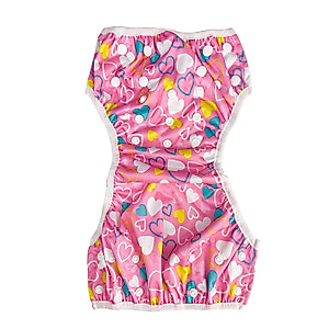 Swim Diapers, Cloth, Reusable, Waterproof, Leakproof, Adjustable Size 1 2 3 4 Grows with Baby, Pink, Girls