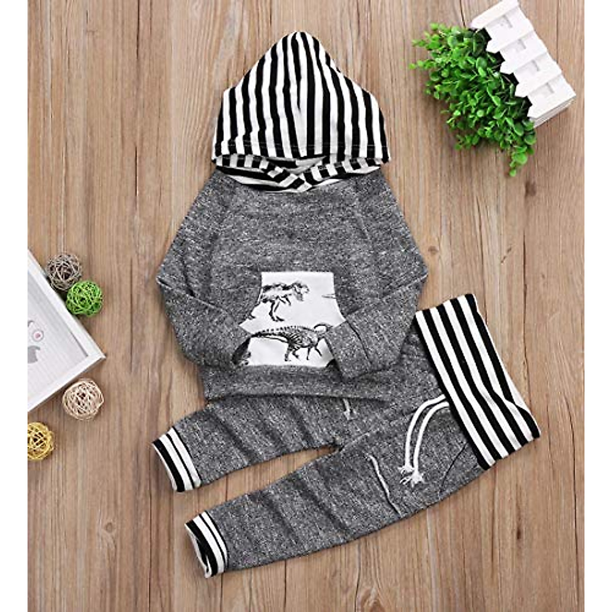 Toddler Infant Baby Boy Girls Clothes Hoodie Fall Winter Sweatsuit Pants Gender Neutral Long Sleeve Outfit Set(2-3 Years, Dinosaur)