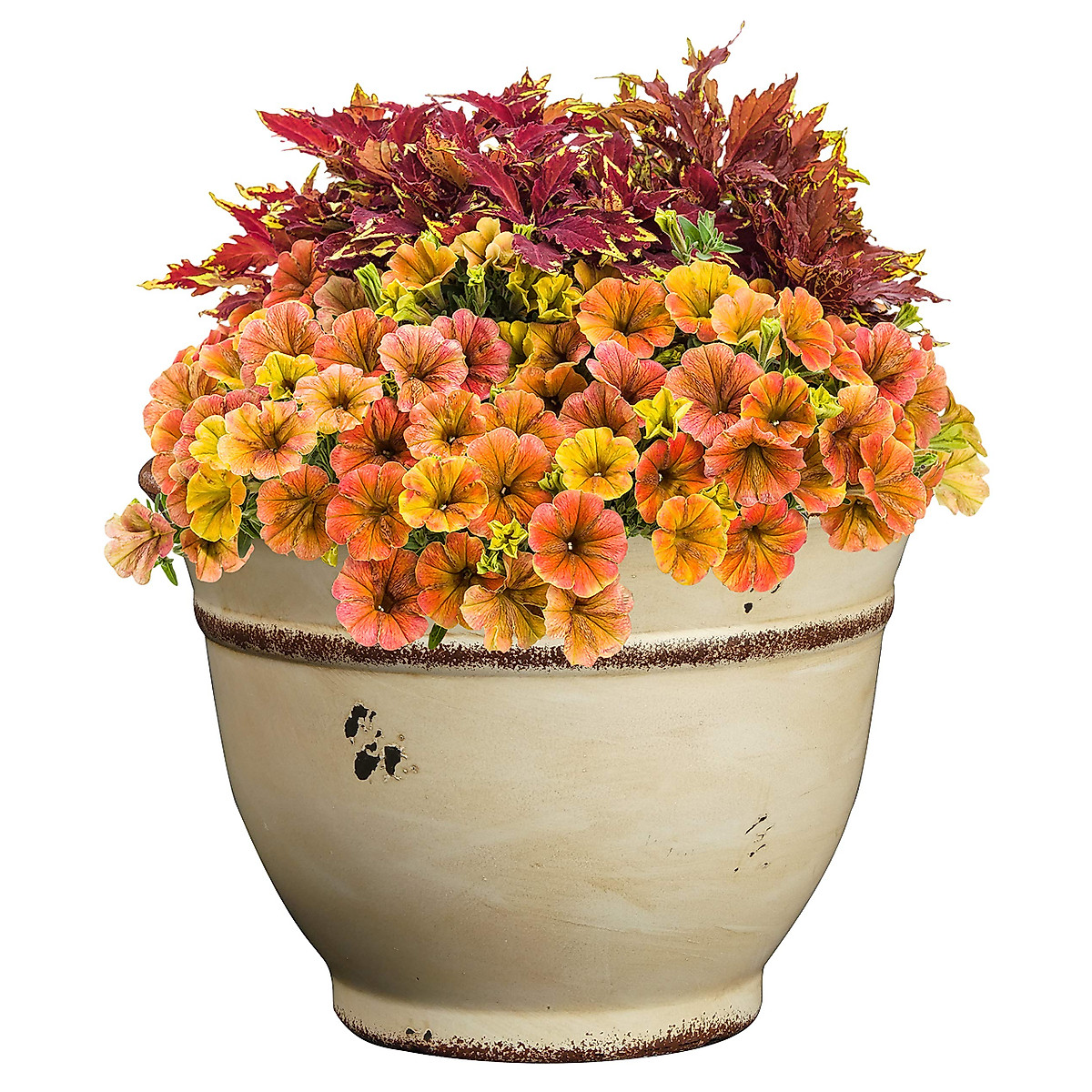 Classic Home & Garden 10512D 532R 12" Alena Planter, Vintage Ivory Enamel