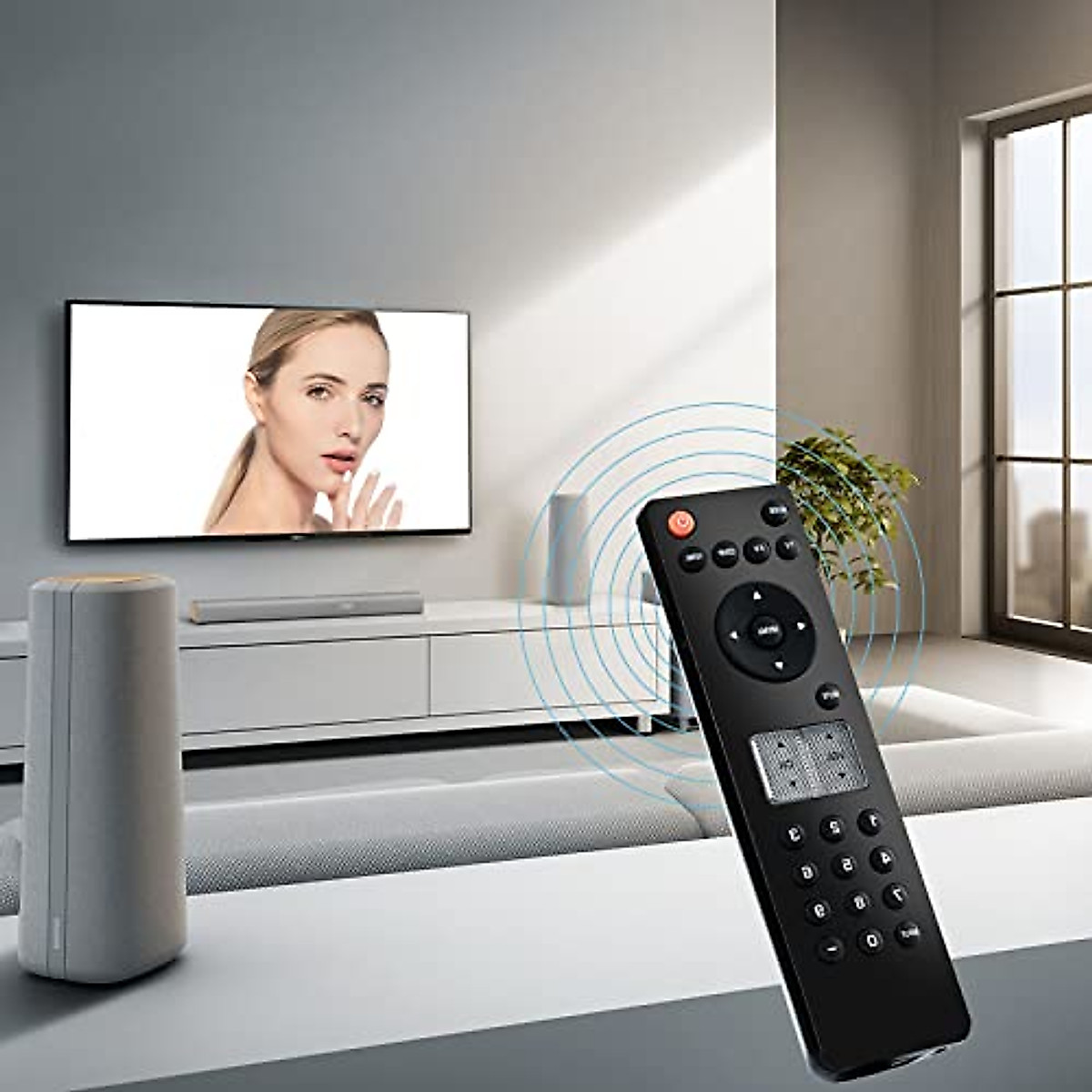 VR2 Remote Control Compatible with VIZIO TV VL320M VL370M VO320E VP322 VX240M VP422 HDTV10A VECO320L VECO320L1A VECO320LHDTV VL260M