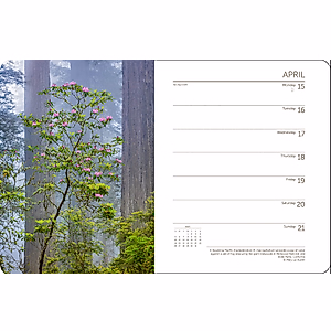 America's National Parks Weekly Engagement Calendar 2024, Planner 6.5" x 8.5" Spiral Bound