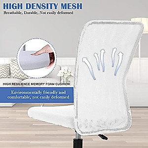 Ergonomic Chairs, Cute Adjustable Armless Office Desk Chair w/Mesh Back & Soft Thick Seat, Comfy Swivel Rolling Cheap Executive Small Computer Task Chair Sillas para Escritorio for Adult Women