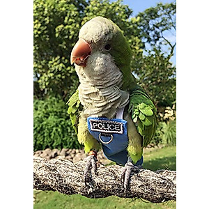 Bird Clothes Parrot Diapers Bird Flight Suits, Reusable Waterproof Diapers pet Bird Supplies Poli(L)