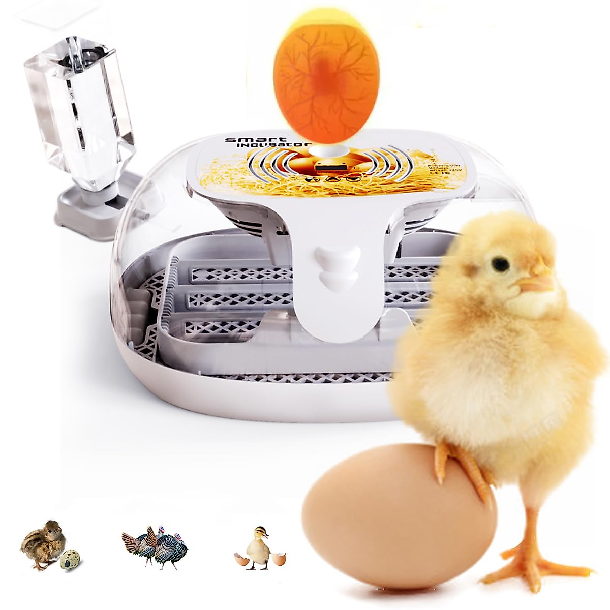 Lreerge Egg Incubator, 12 Eggs Incubator with Automatic Egg Turning, Automatic Water Adding, 360 Degree View, for Hatching Chicken Goose Quail Duck