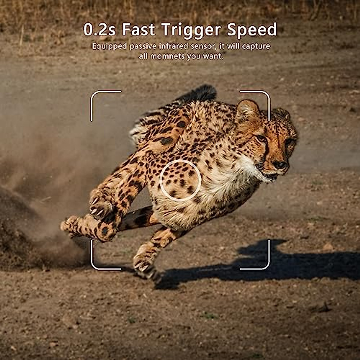 Trail Cameras with Night Vision Motion Activated Waterproof, Game Camera 32MP 1296P, Hunting Camera with 0.1S Trigger Speed, 120°Wide Angle Deer Camera with No Glow Infrared LEDs for Outdoor Wildlife