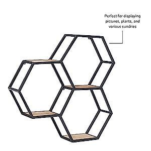Powell Dealya Black Metal Honeycomb Wall Shelves with Wood Bottoms