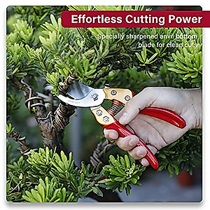 QMVESS 8" Pruning Shears for Gardening, Professional Hand Garden Shears Heavy Duty, Sharp Precision Ground Steel Blade Bypass Garden Scissors, for Flowers, Houseplants, Bonsai or Garden