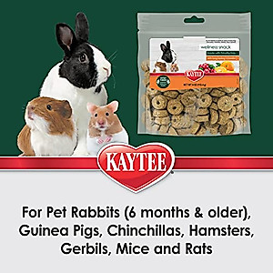 Kaytee Baked Wellness Snacks with Vitamin C Cranberry and Orange